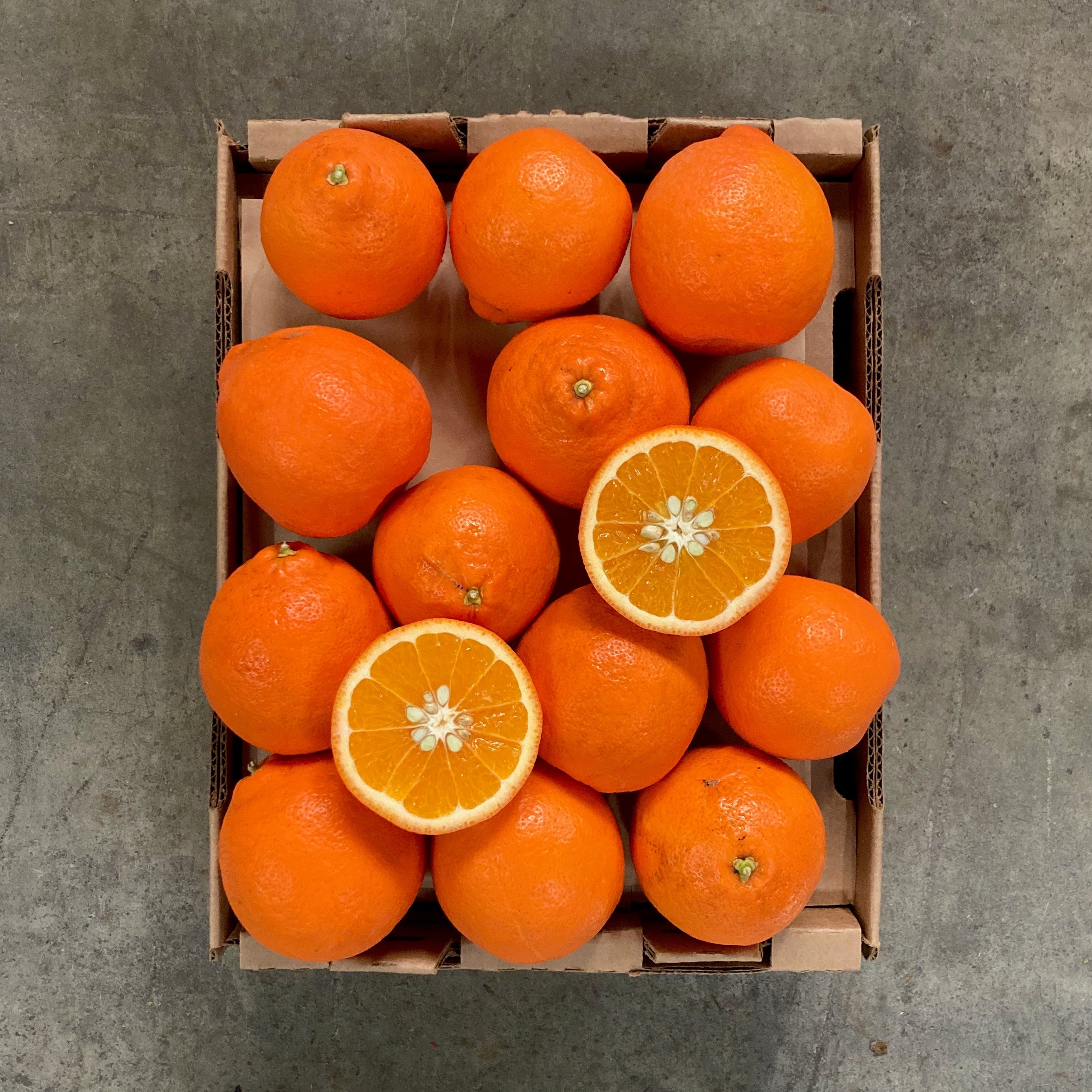 Organic Minneola Tangelo Box – fruitqueen