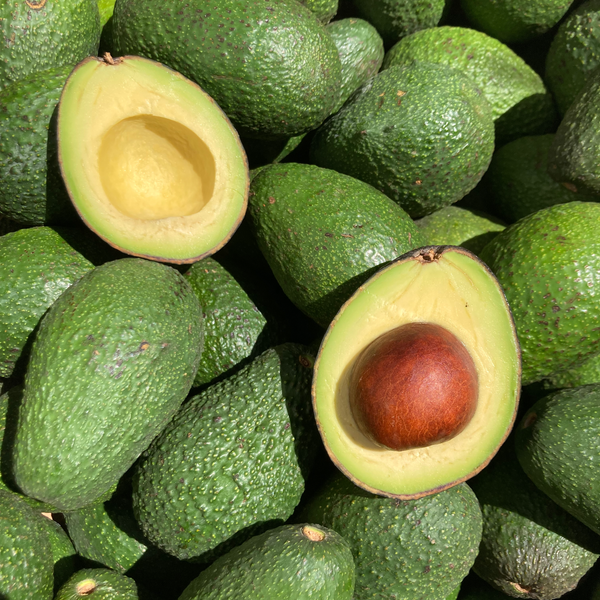 Organic California Avocado Box – fruitqueen