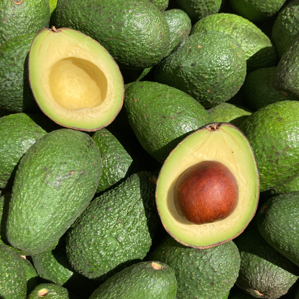 Organic California Avocado Box – fruitqueen